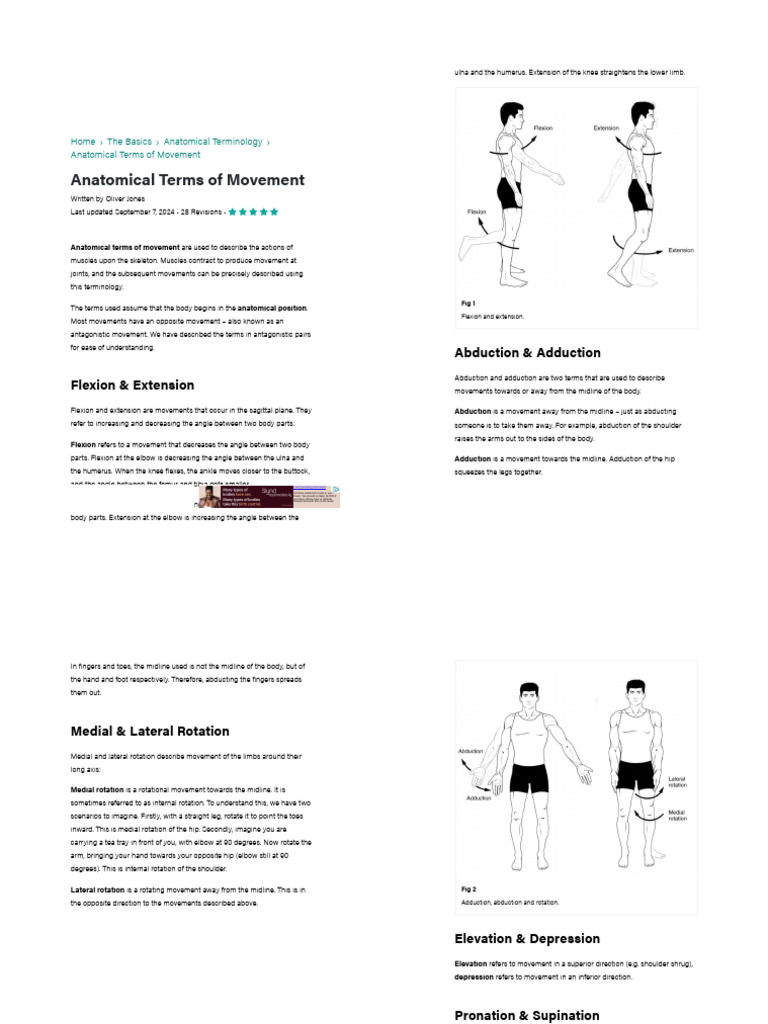Flexion and Rotation in Anatomy | PDF | Anatomical Terms Of Motion ...