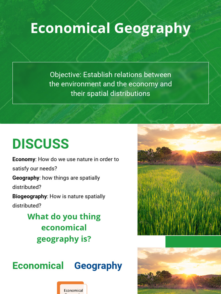 Geographical Economy | PDF | Economies | Goods