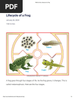 Lizard Life Cycle Stages Explained | PDF
