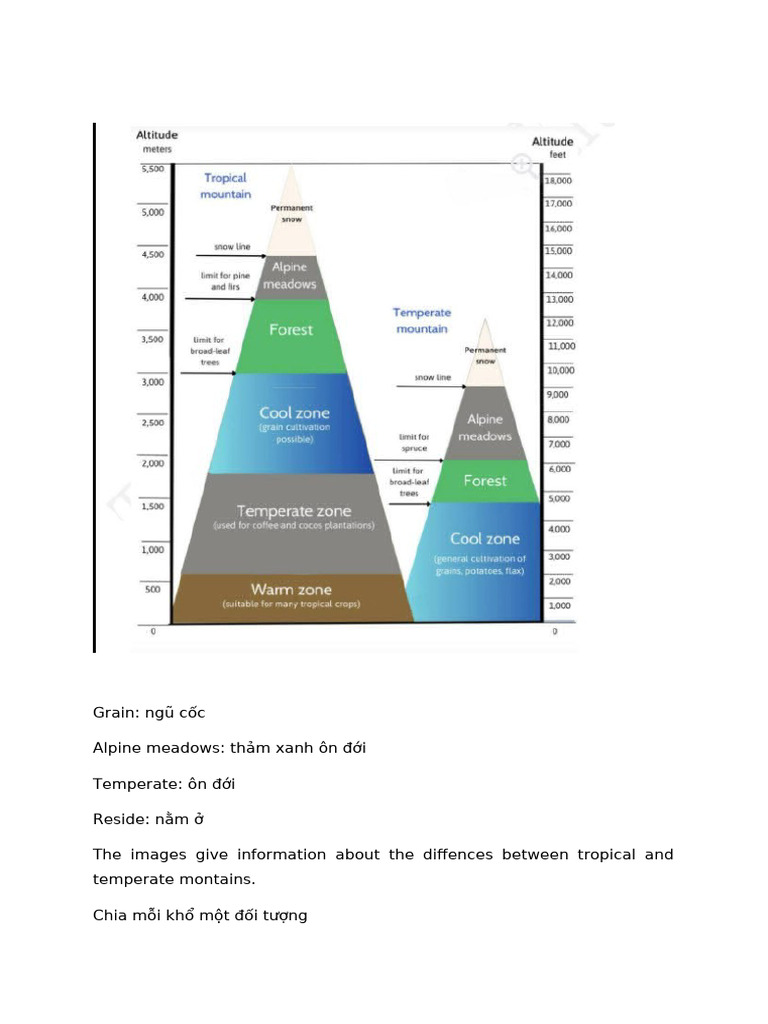Tropical vs Temperate Mountain Zones | PDF | Forests | Mountains