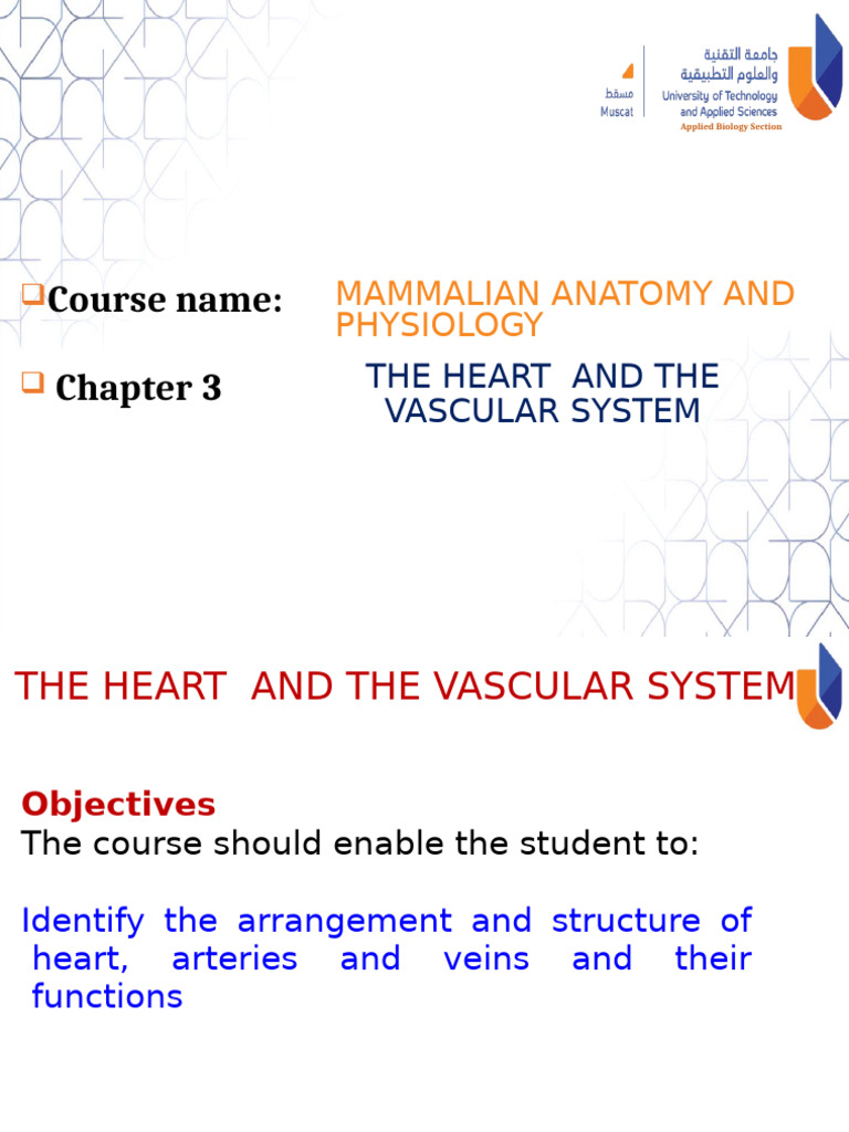 Lecture 3 Heart and Vascular System Modified MJS | PDF | Heart Valve ...