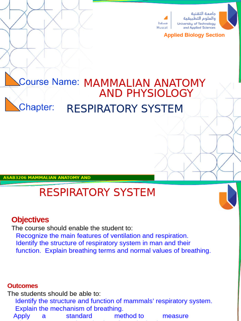 Lecture 2 Respiratory System ABA Modified MJS | PDF | Lung | Respiratory Tract