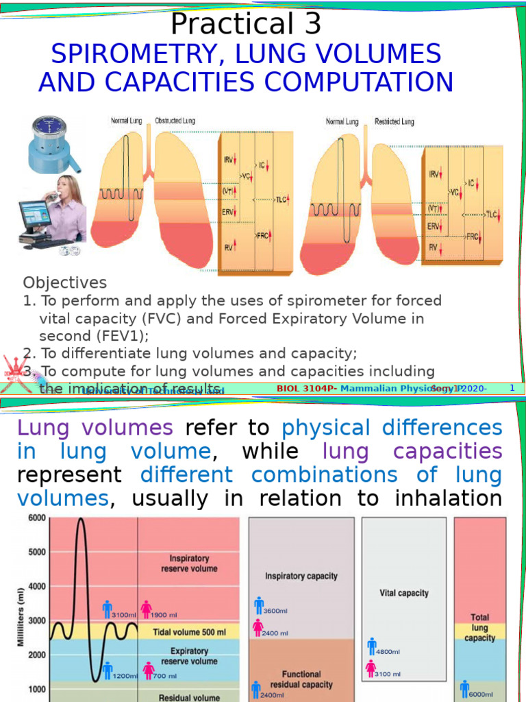 Practical 3 - Spirometry, Volumes and Capacities Computation | PDF | Exhalation | Pulmonology