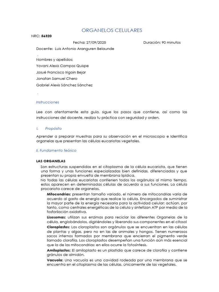 Organelos Celulares Echo | PDF | Biología Celular) | Cloroplasto