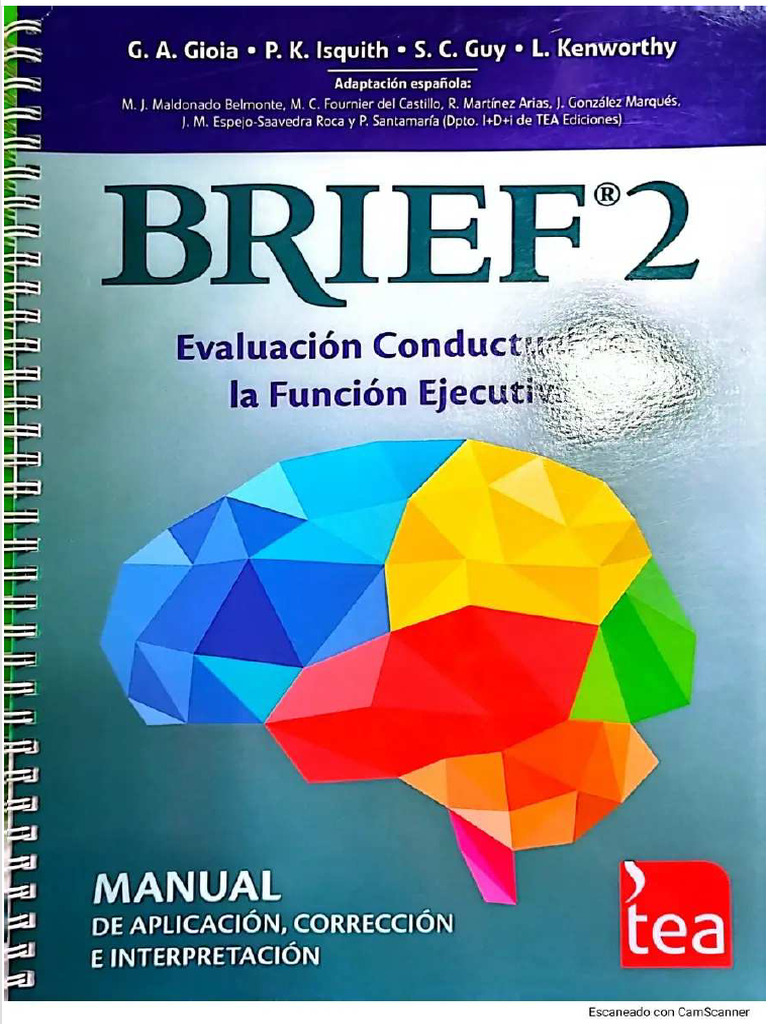 Manual BRIEF 2 | PDF