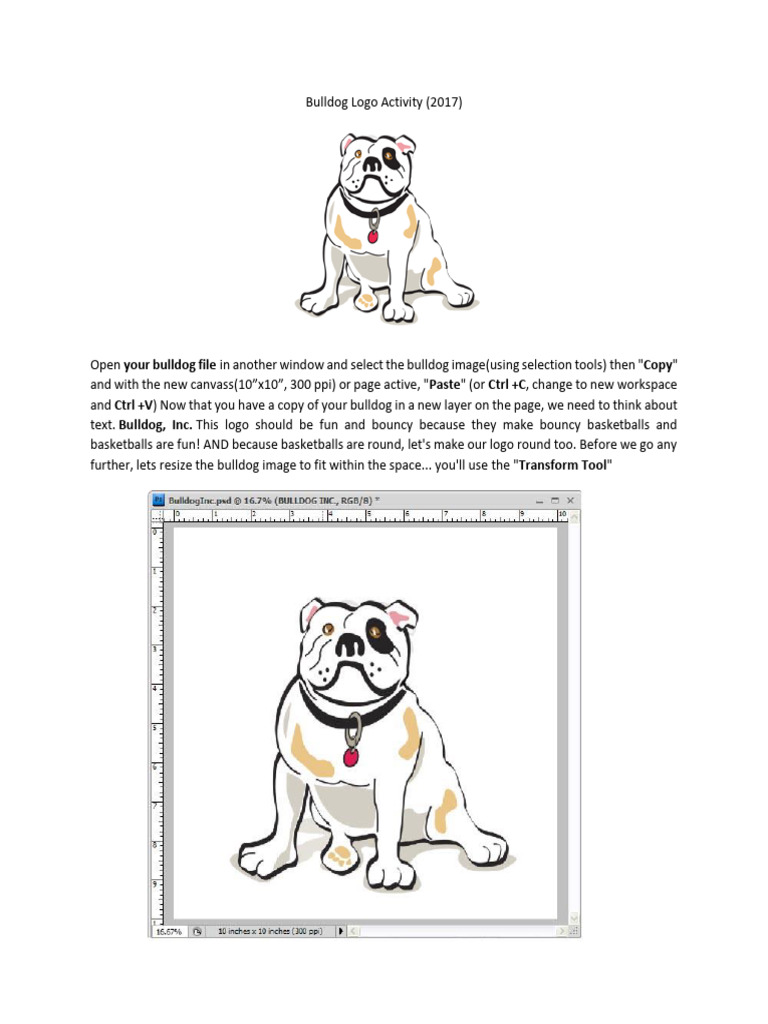 bulldog-2017 | PDF | Software