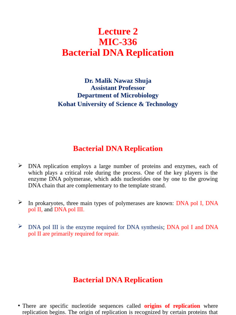 Bacterial DNA Replication Overview | PDF | Dna Replication ...