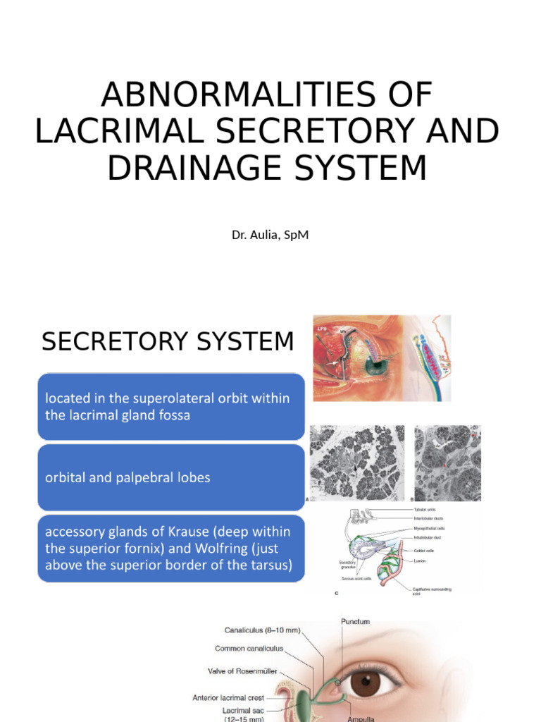 Abnormalities of Lacrimal Secretory and Drainage System | PDF