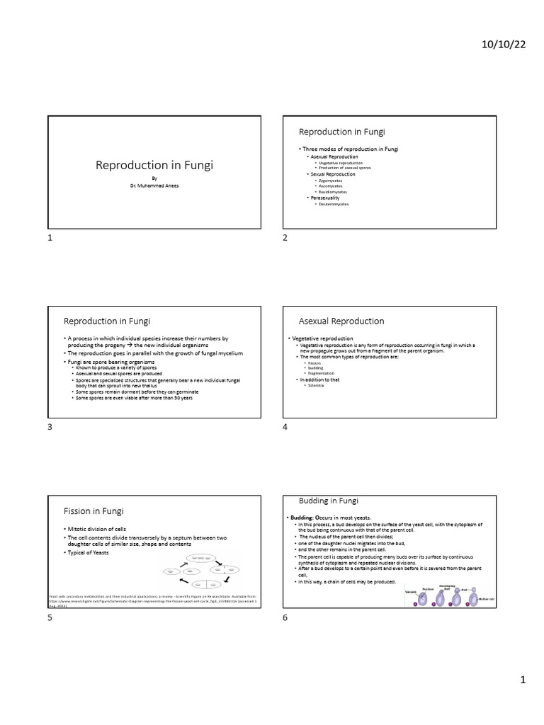 Fungal Reproduction Methods Explained | PDF | Fungus | Ploidy