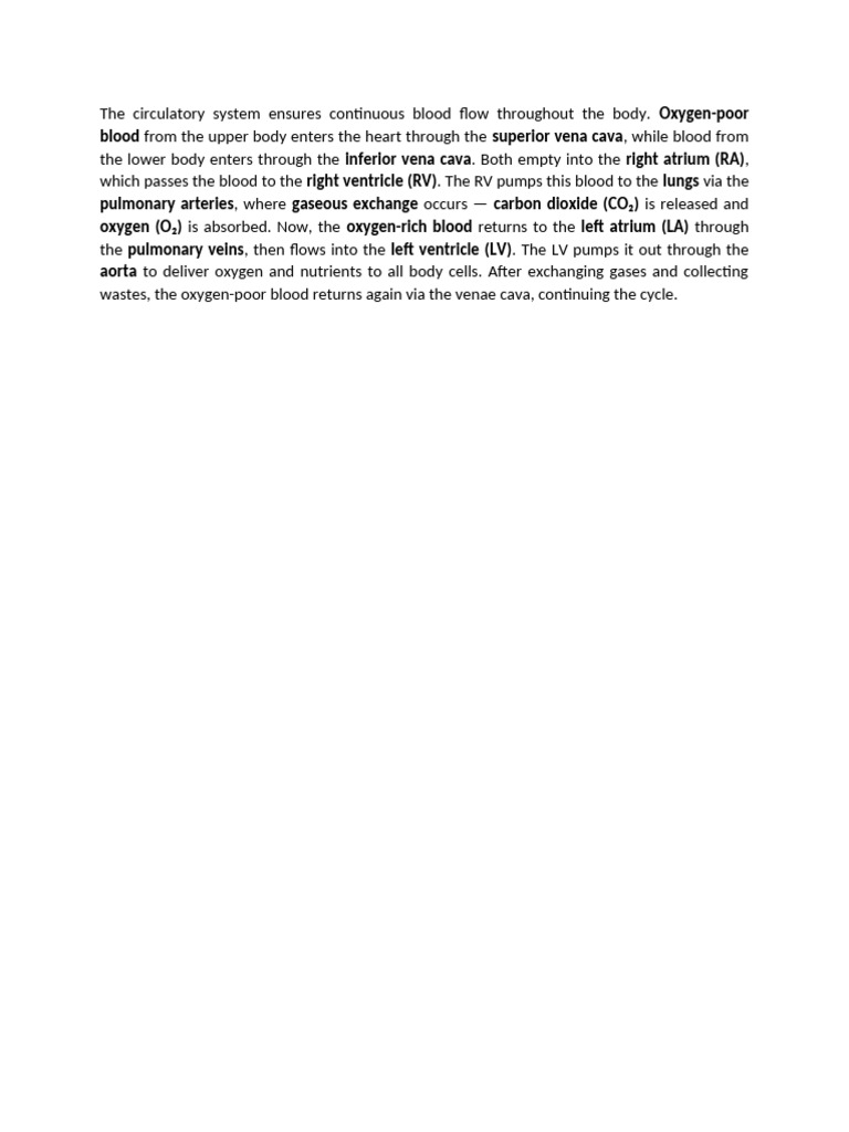 Circulatory System | PDF