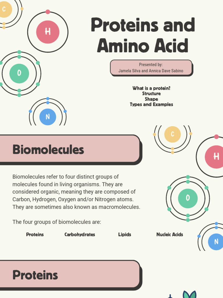 Understanding Proteins and Amino Acids | PDF | Amino Acid | Proteins