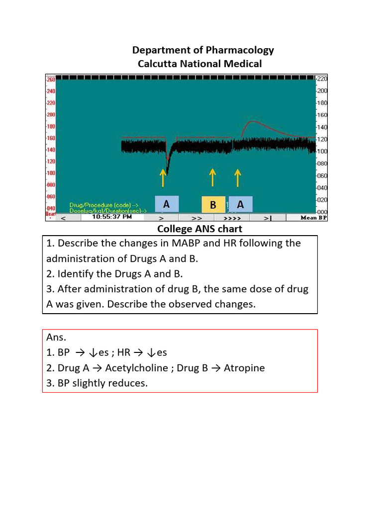 Cal Chart Solved PDF | PDF | Acetylcholine | Neurochemistry