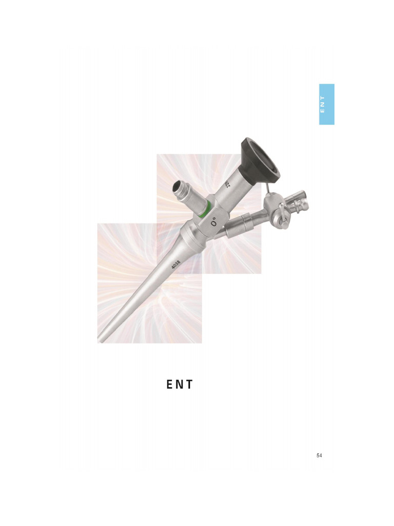 ENT System | PDF