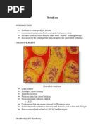Anemia Brochure | PDF | Anemia | Blood