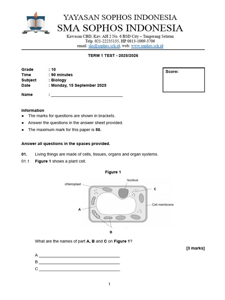 G10 Biology Written Term 1 Test | PDF | Neoplasms | Stem Cell
