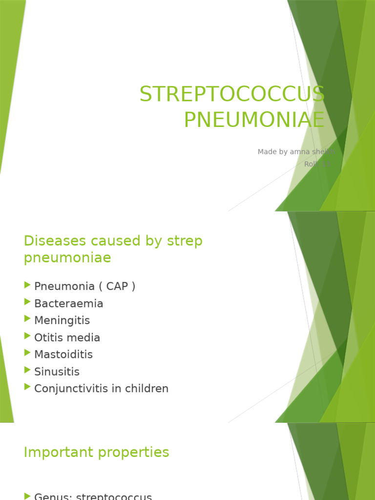 Streptococcus Pneumoniae | PDF