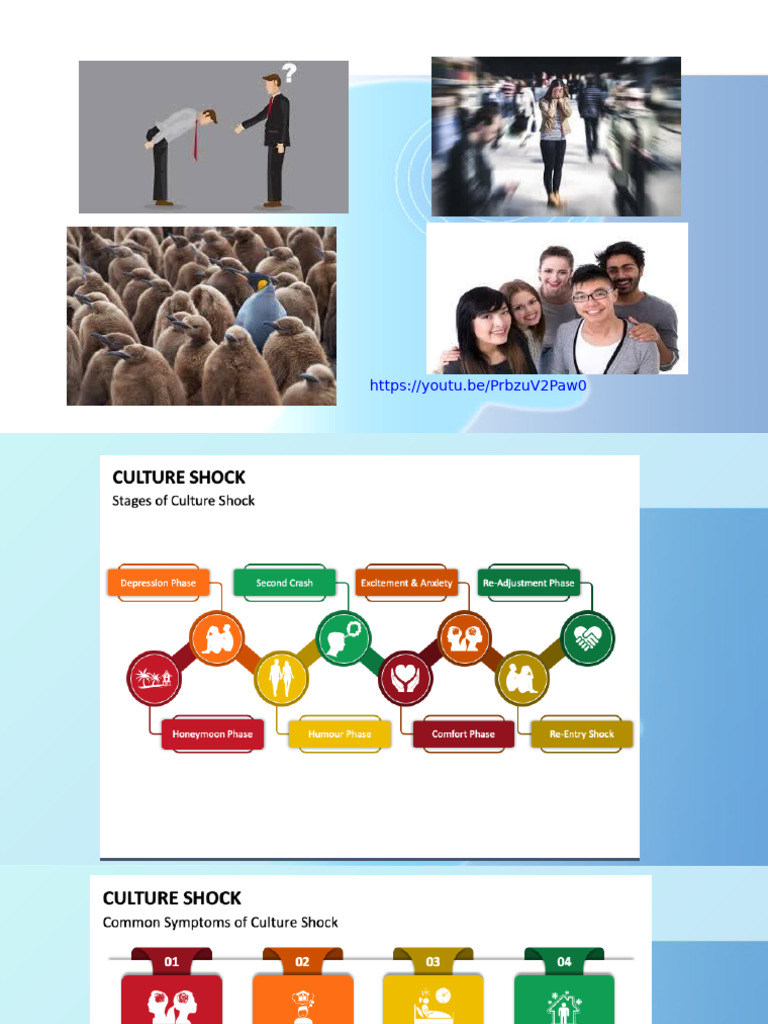 Understanding Culture Shock Stages | PDF