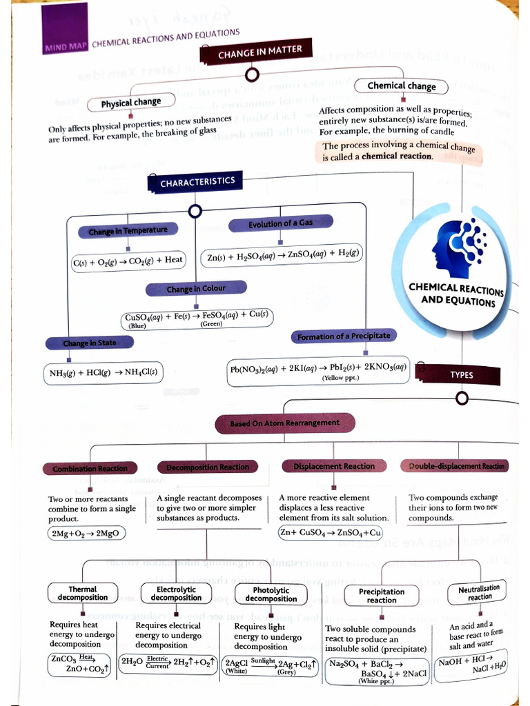 Concept Map Science | PDF