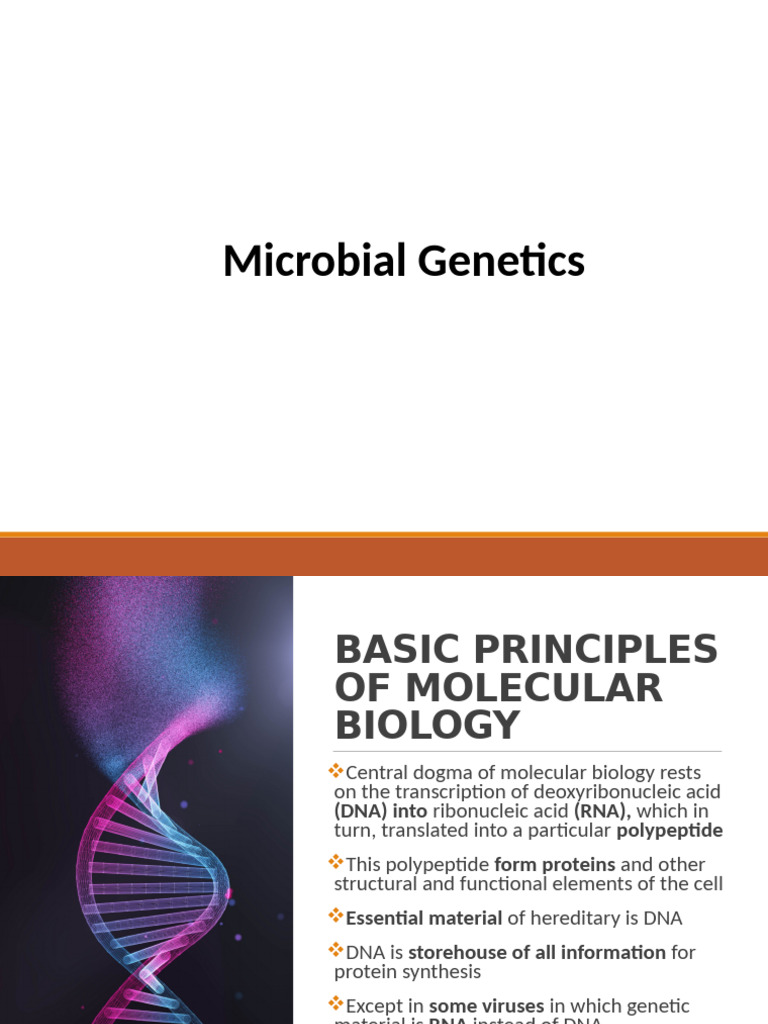 Microbial Genetics | PDF | Plasmid | Bacteriophage