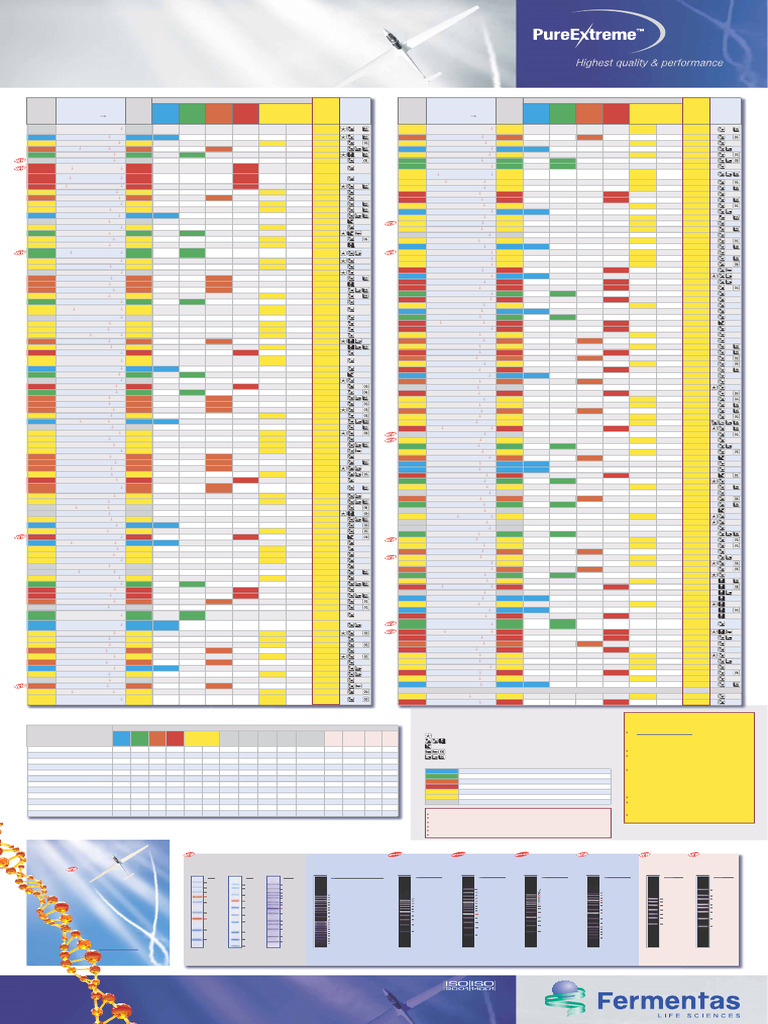 Fermentas Enzyme Buffer Activity Chart | PDF | Organic Compounds ...