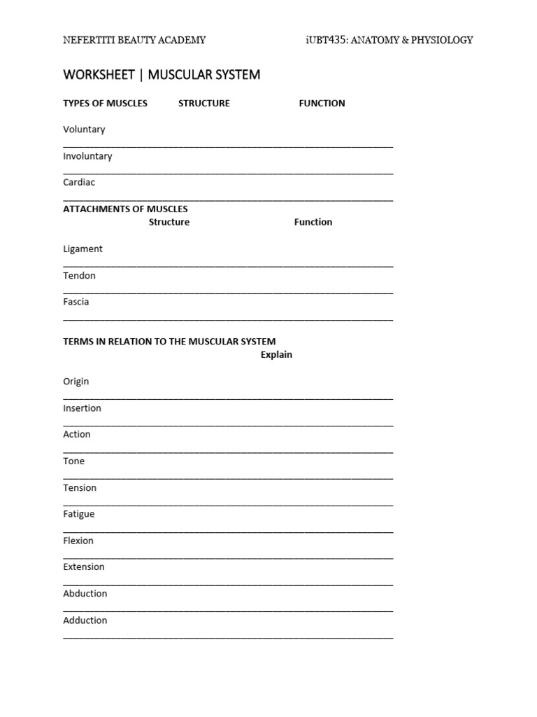 Muscular System Anatomy Worksheet | PDF | Anatomical Terms Of Motion ...
