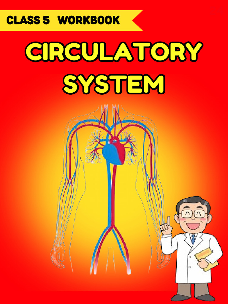 Class 5 Circulatory System Workbook | PDF | Heart Valve | Circulatory ...