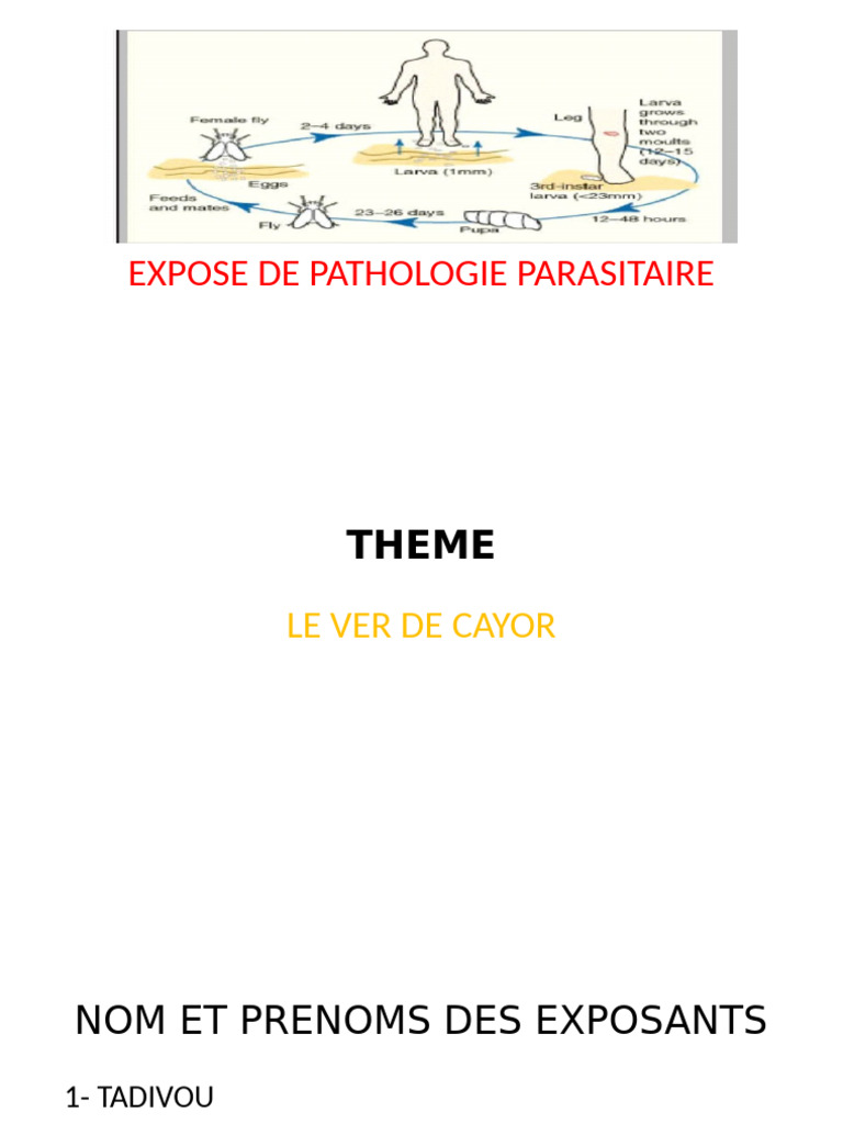Pathologie du Ver de Cayor : Cordylobiose | PDF | Maladies et troubles
