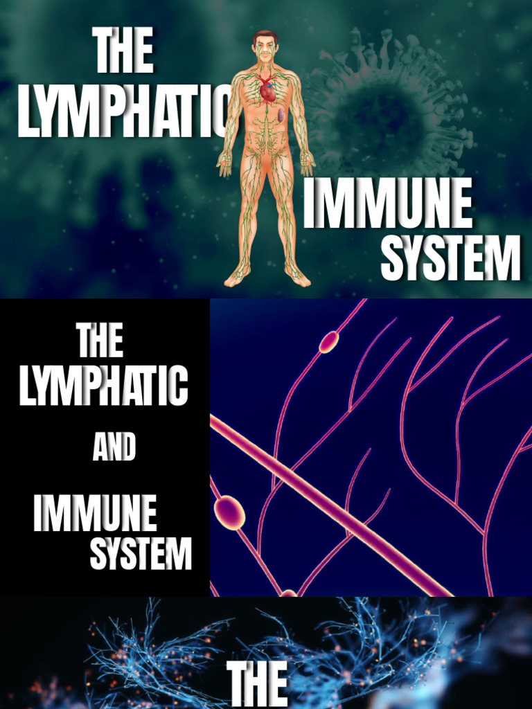 Immune System Educational Presentation Black Animated Style.pdf | PDF ...