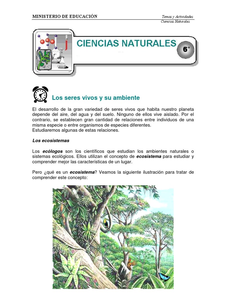 Los Seres Vivos y Su Ambiente | PDF | Organismos | Ecosistema