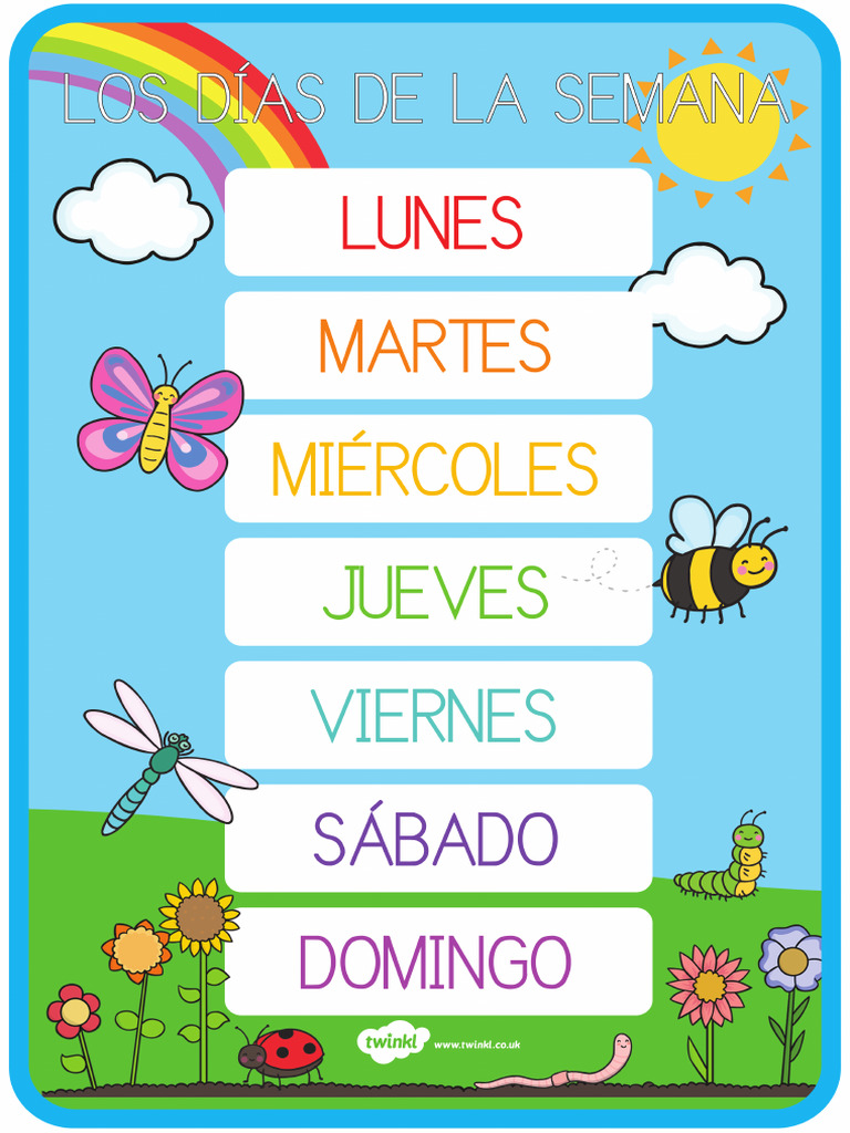 ES T C 1206 Los Dias de La Semana Poster DIN A2 | PDF