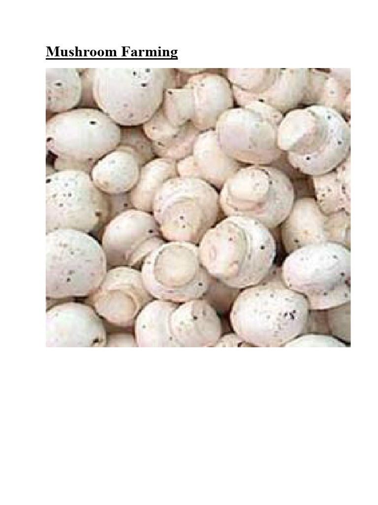 Mushroom Farming | PDF | Mushroom | Agriculture