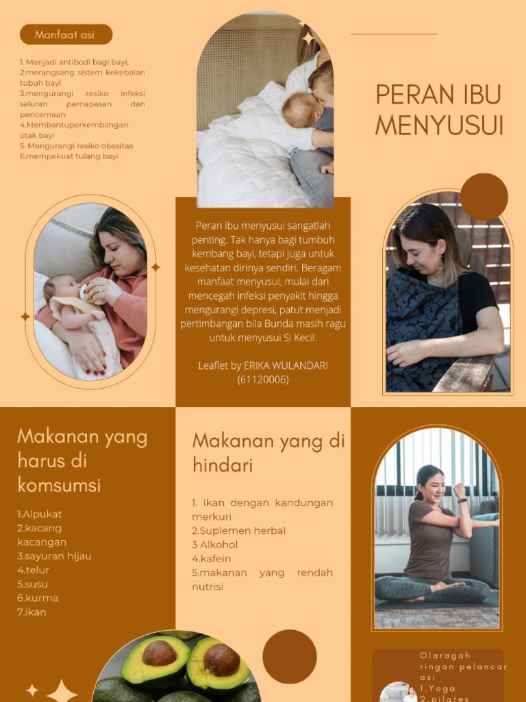 Leaflet Ibu Menyusui | PDF