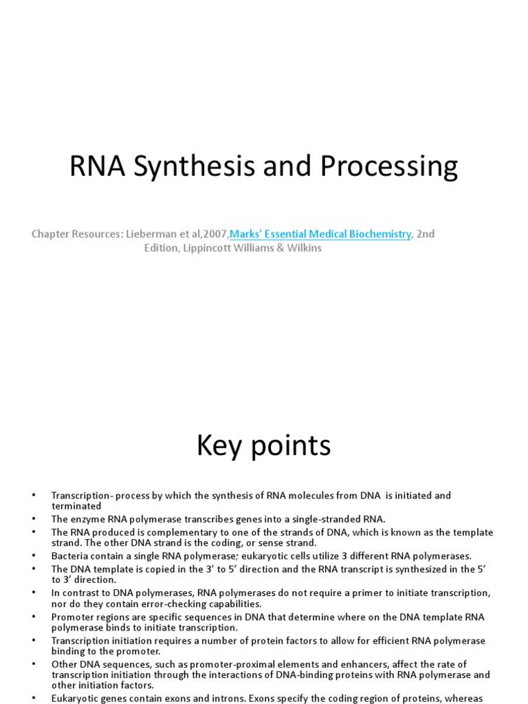 RNA Synthesis and Processing | PDF | Rna Splicing | Rna
