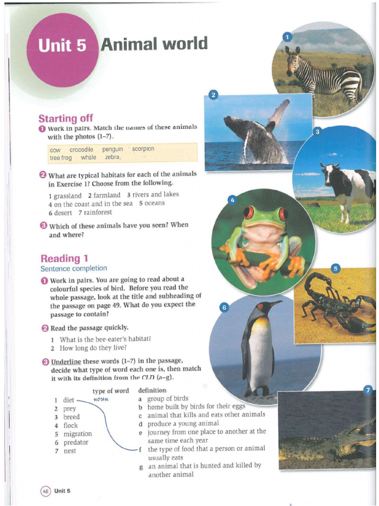 Buoi 5 - Reading 1 | PDF