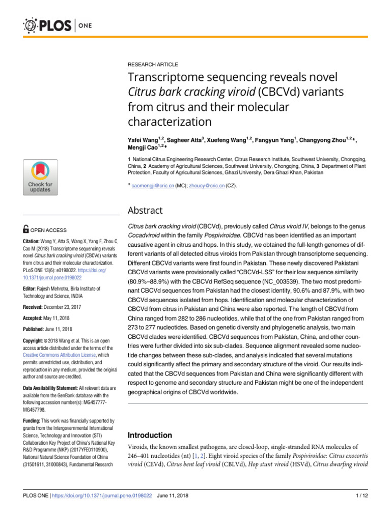 Transcriptome Sequencing Reveals Novel Citrus Bark Cracking Viroid ...