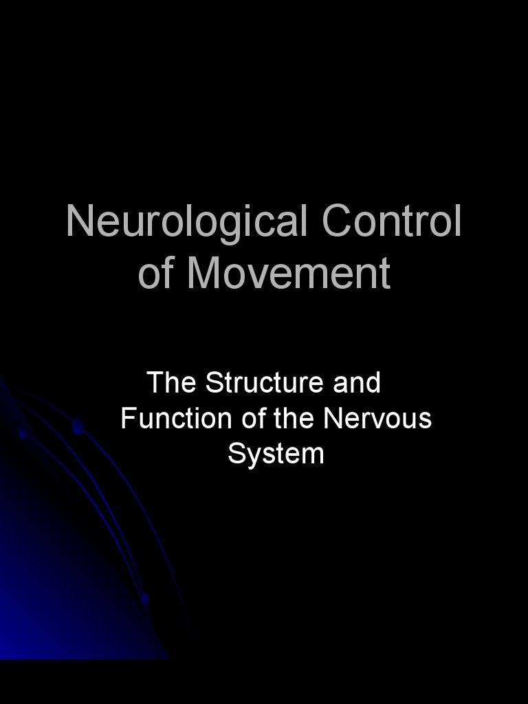 Neurological Control of Movement Explained | PDF | Action Potential | Axon
