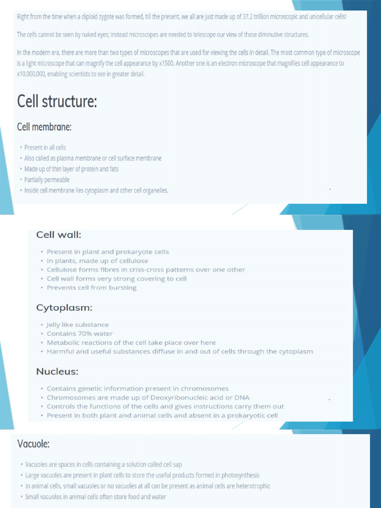 Cell Structure Overview | PDF