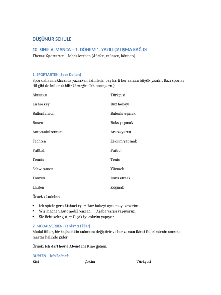 10 Sinif Almanca Calisma Kagidi | PDF