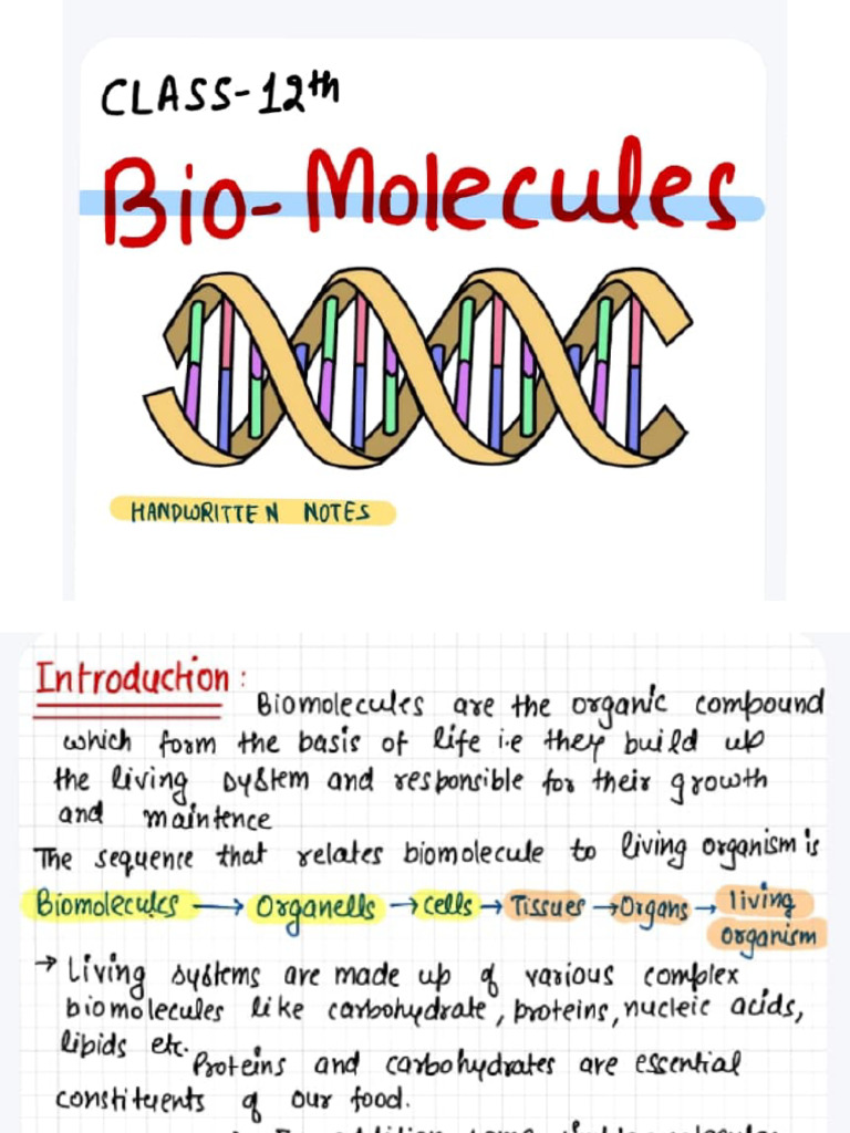 BIOMOLECULES | PDF