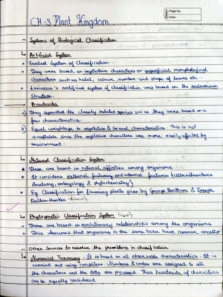 Xi CH - 3 Plant Kingdom Class Notes | PDF
