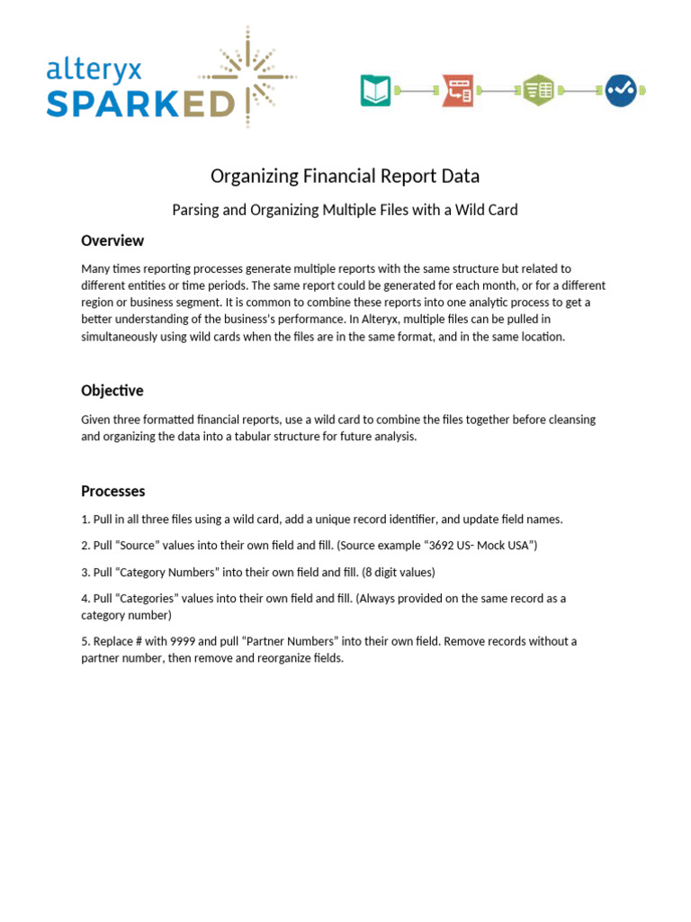 Organizing Financial Report Data Overview | PDF