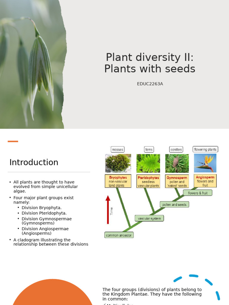 Overview of Seed Plant Diversity | PDF | Flowers | Pollination