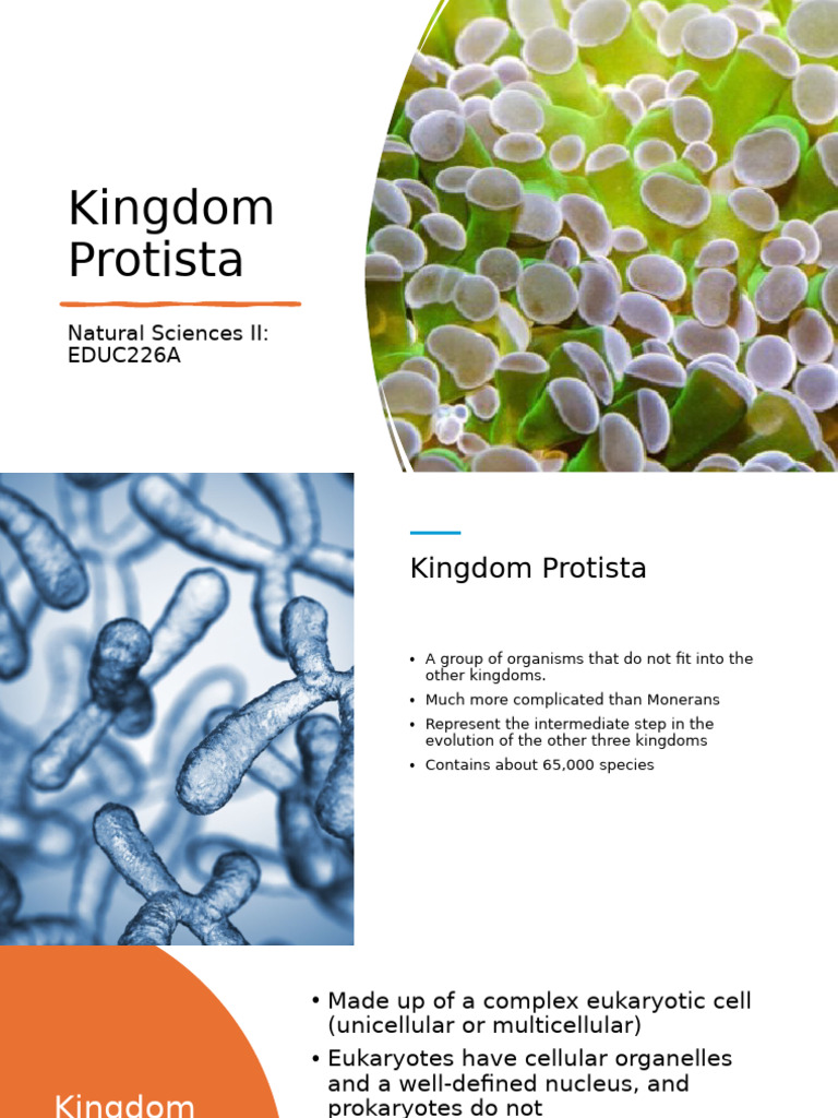 Week 7 - Kingdom Protist | PDF | Protozoa | Cell (Biology)