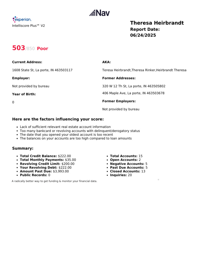 Experian Personal PPQ Report Summary - Theresa Heirbrandt 06-24-2025 | PDF