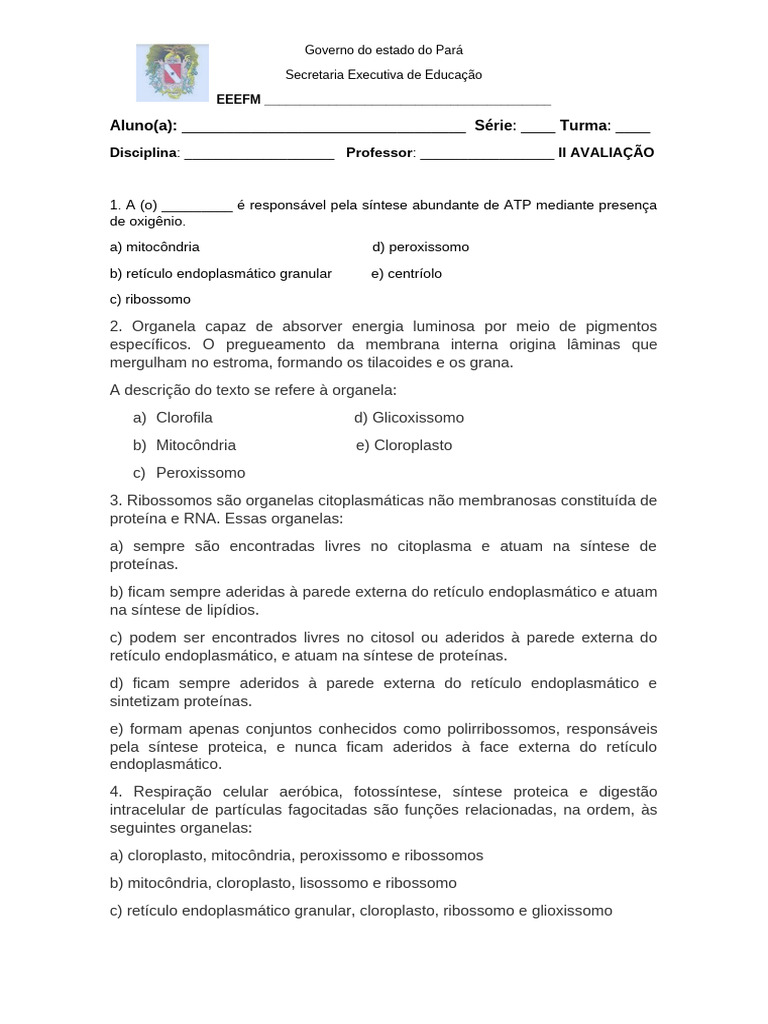 Prova Elcione 1 Ano 2 Aval | PDF | Organelo | Célula (Biologia)