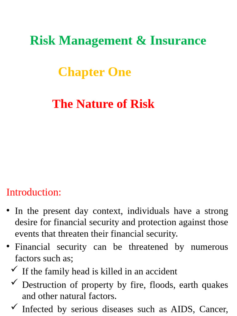 RMI PPT 1 | PDF | Risk | Uncertainty