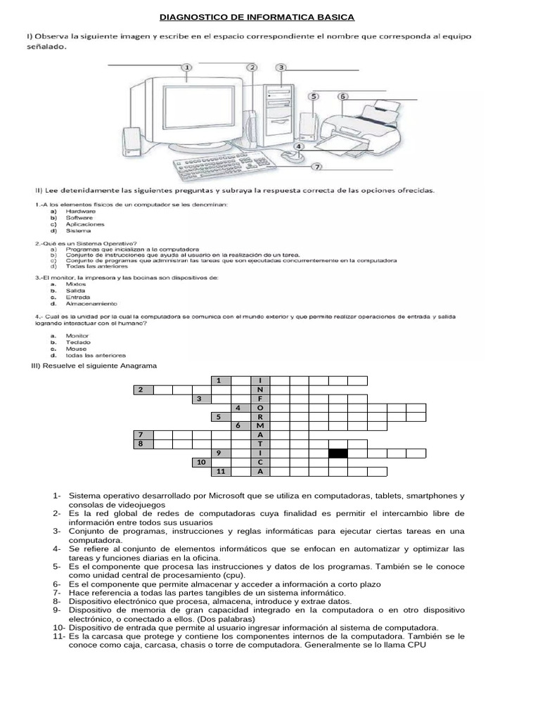 Diagnostico de Informatica Basica | PDF