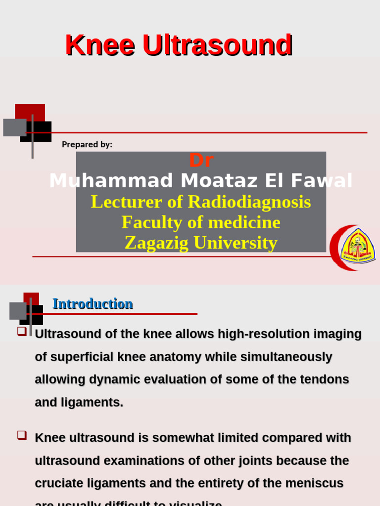 Knee Ultrasound Imaging Techniques | PDF | Knee | Human Anatomy