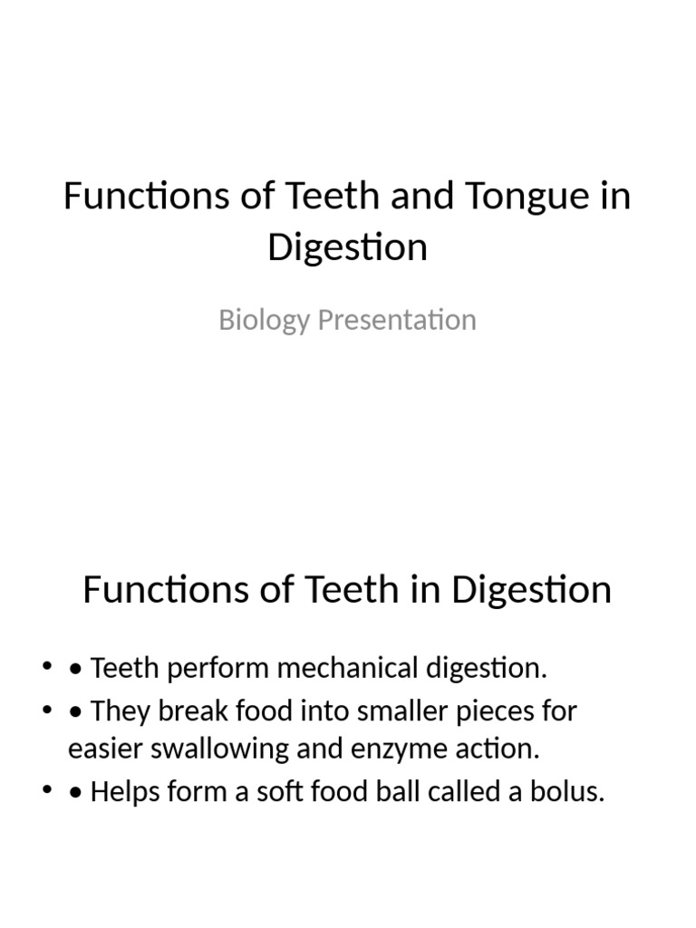 Functions of Teeth and Tongue in Digestion | PDF