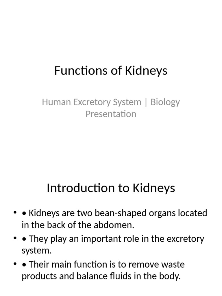 Functions of Kidneys Presentation | PDF